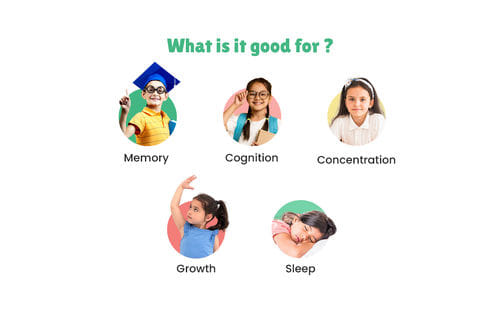 Buy Brain Development Kit - Little Joys